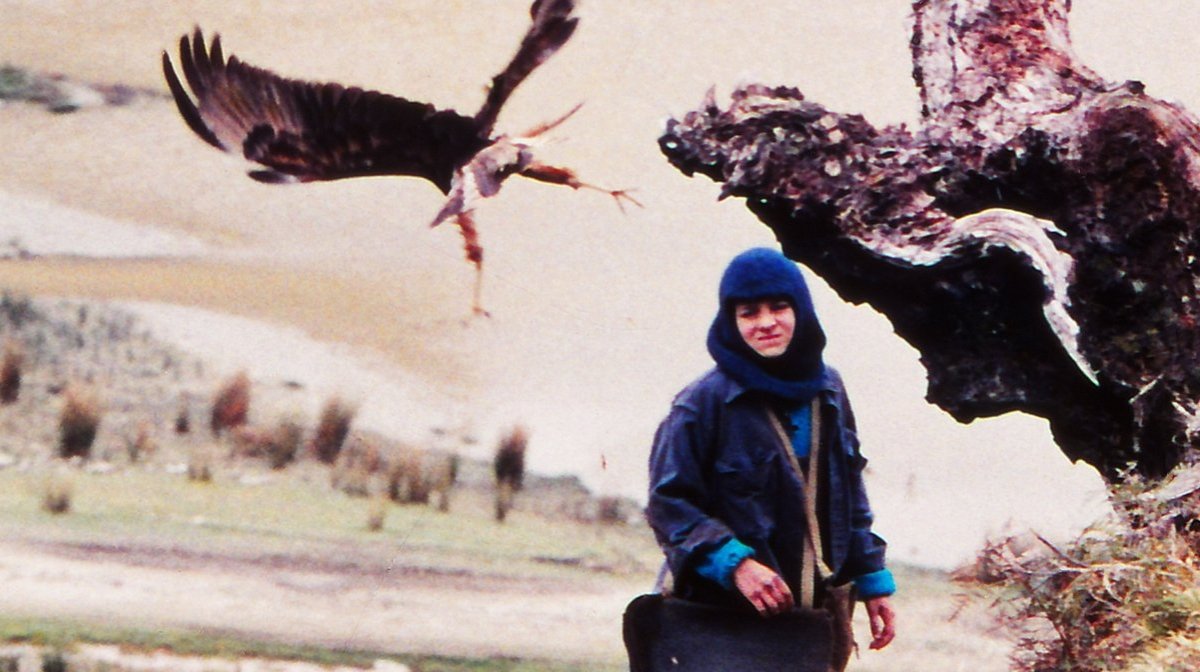 10 Films that Define New Zealand Cinema - Arrow Films