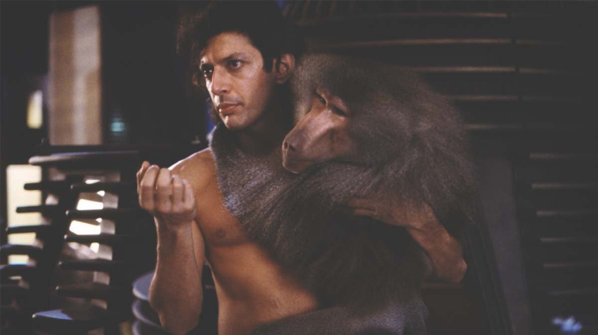 The Fly At 35: Celebrating The Greatest Movie Remake Of All Time