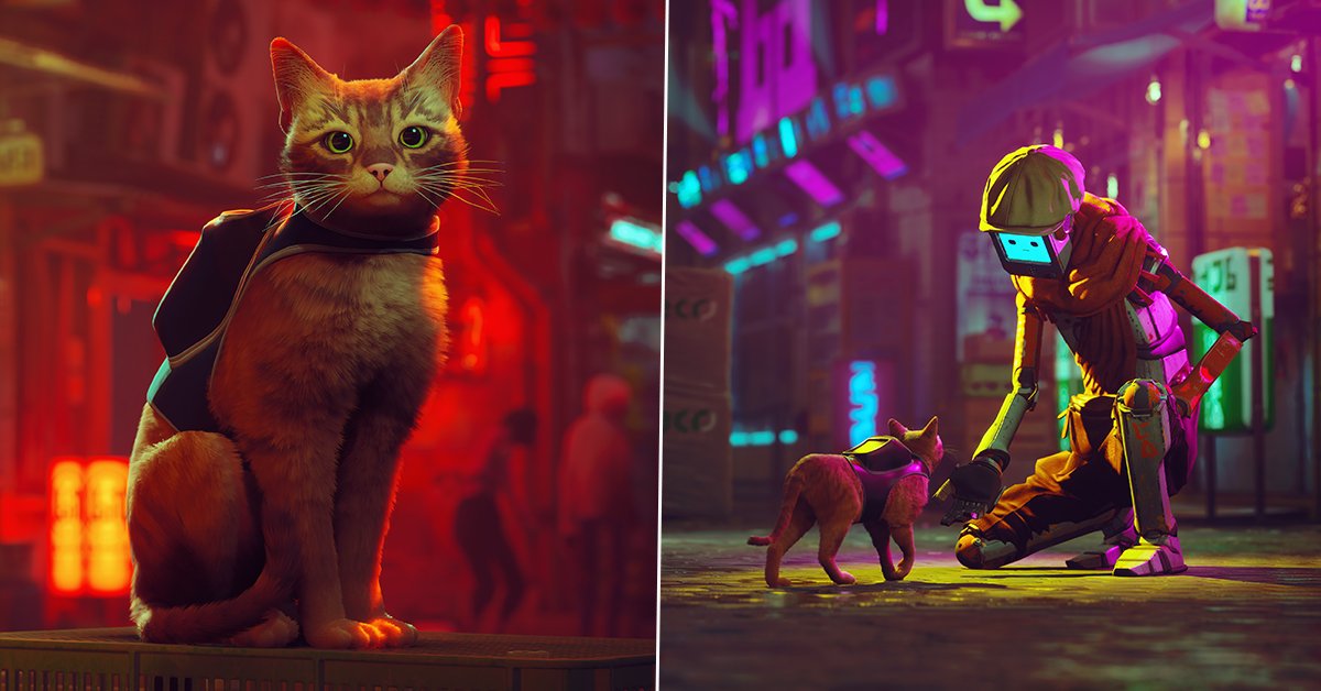 Behind The Scenes On Stray, The Video Game Event Of The Summer