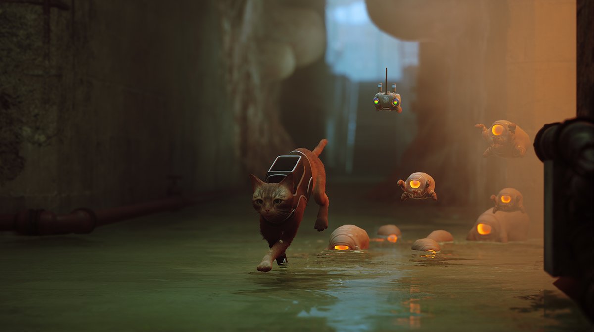 Behind The Scenes On Stray, The Video Game Event Of The Summer