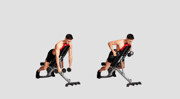 Build Muscle With This Chest & Back Workout - MYPROTEIN™