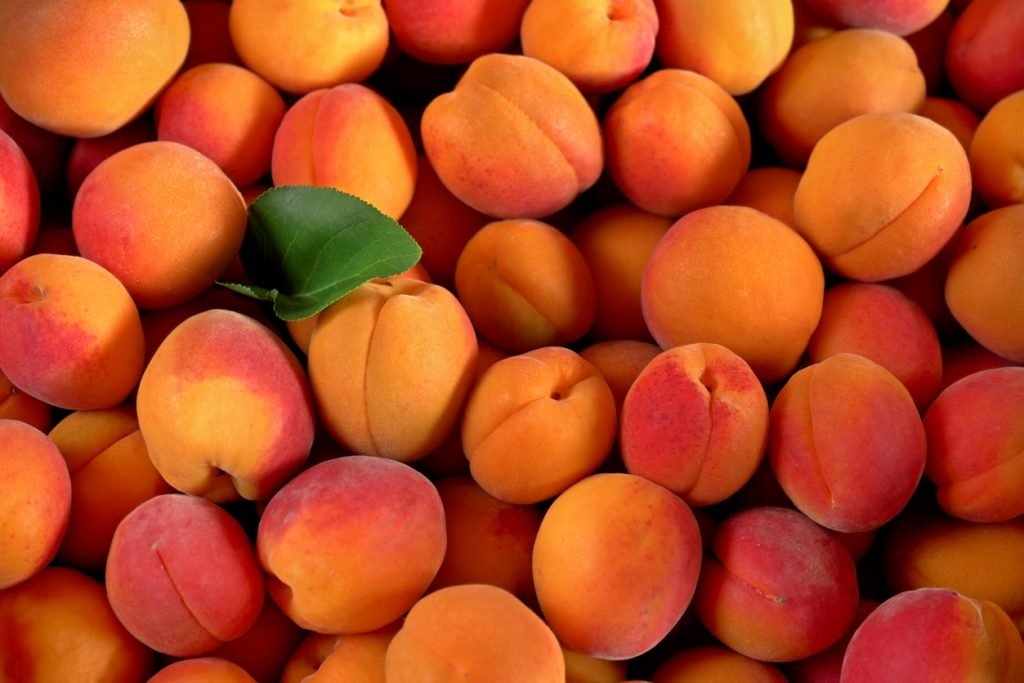 How to Get Rid of Peach Fuzz | What is Peach Fuzz? | Venus