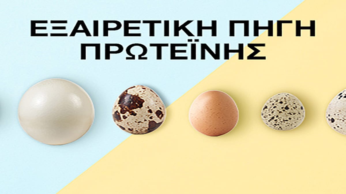 Αυγά: Όλα τα είδη και τα πλεονεκτήματα για το Πάσχα - MYPROTEIN™