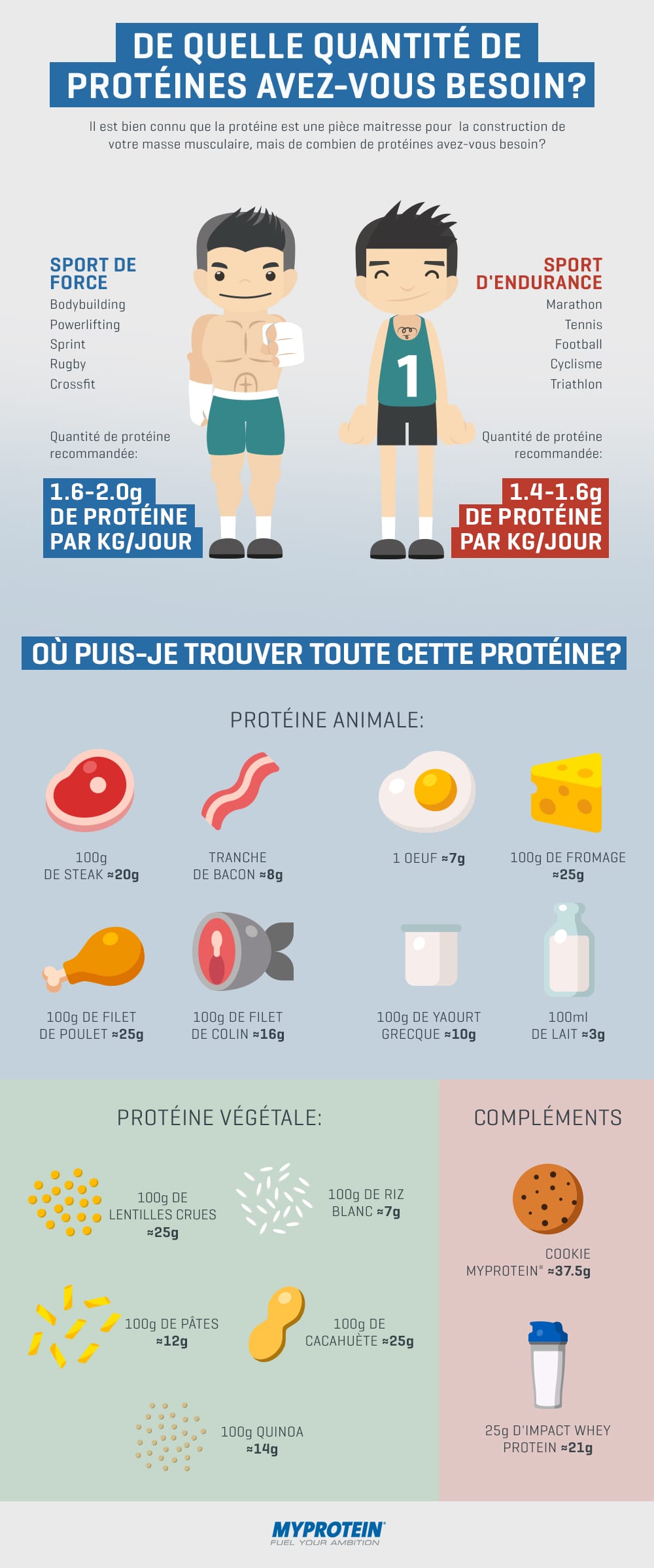 Infographie : De quelle quantité de protéines avez-vous besoin?