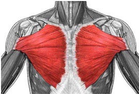 Ejercicios para pecho: ¡Construye un pecho grueso y tonificado!