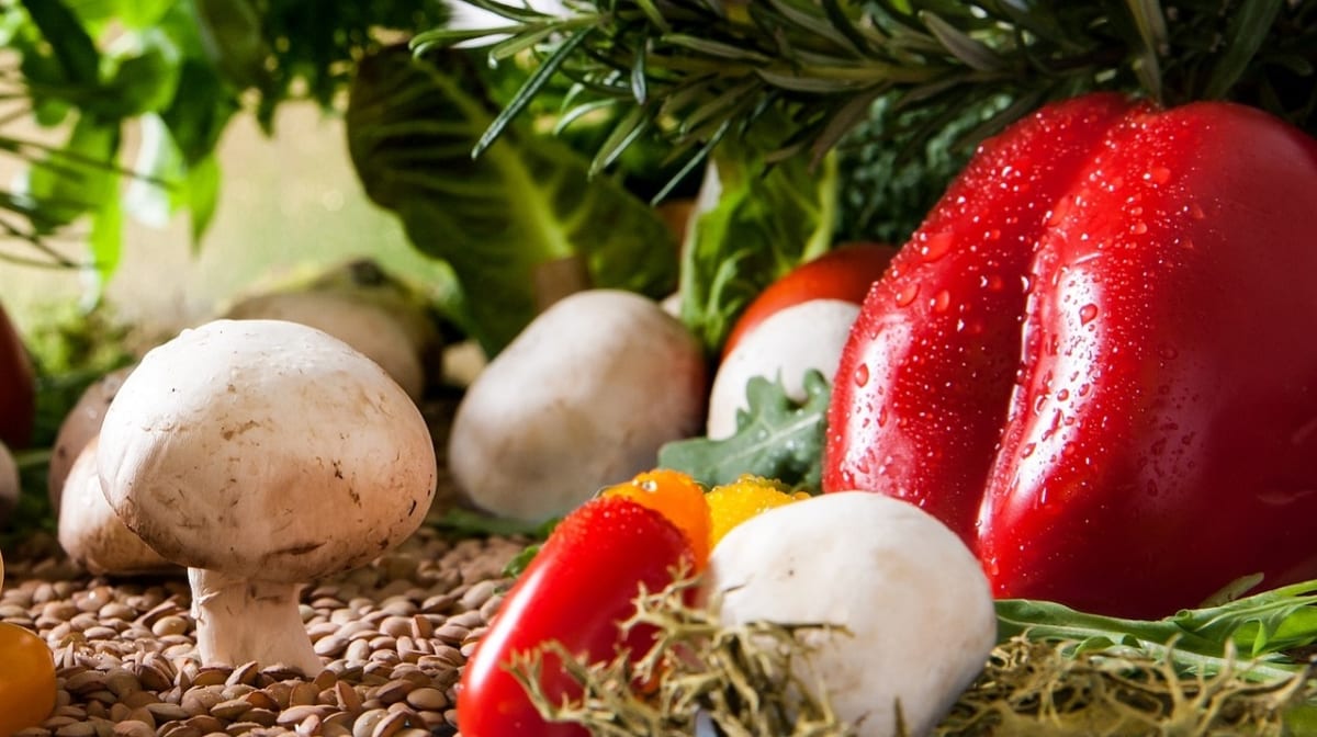 Dieta Vegetariana Per Sportivi | È Possibile? - Myprotein.it