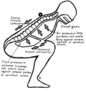 Ademhaling Tijdens Het Trainen | Workout | Myprotein Health & Fitness